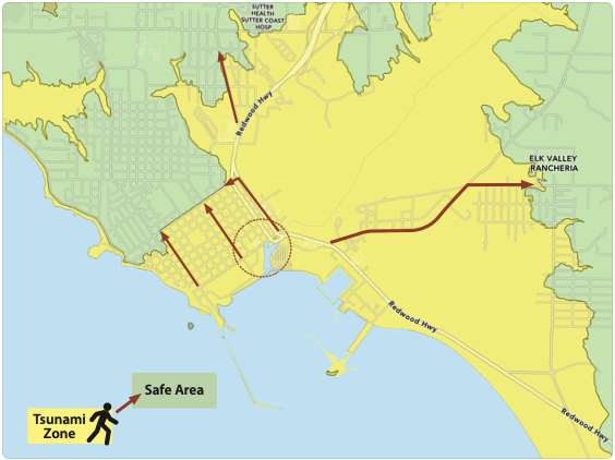 tsunami walking tour